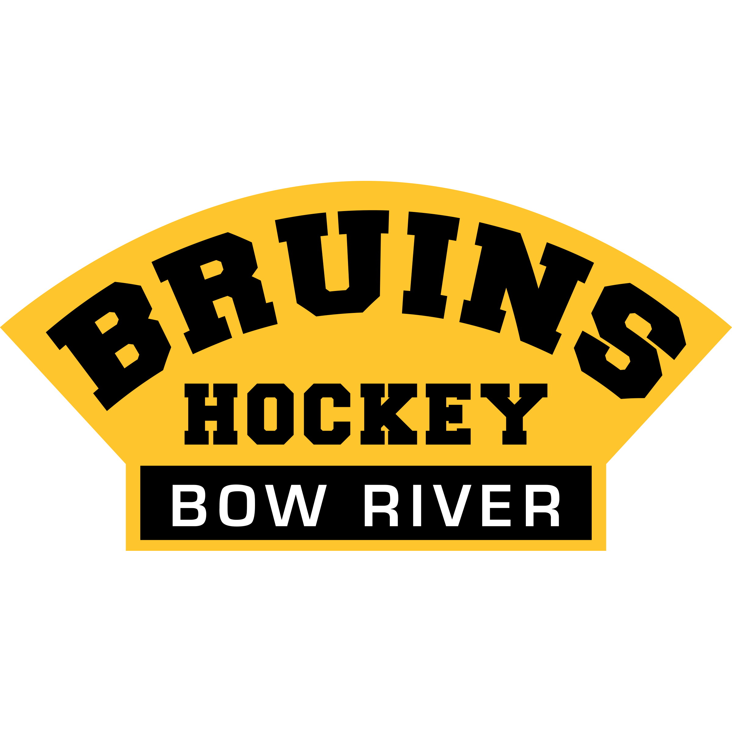 Bow River Bruins – Adrenalin Source for Sports